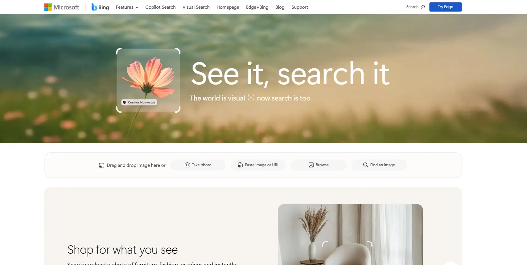 5 Best Image Search Techniques for Accurate Finds